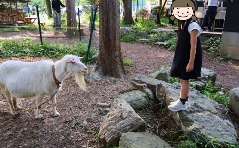 グランピングの意味がわからない方必見！勘違いされやすい理由5選と楽しみ方を紹介